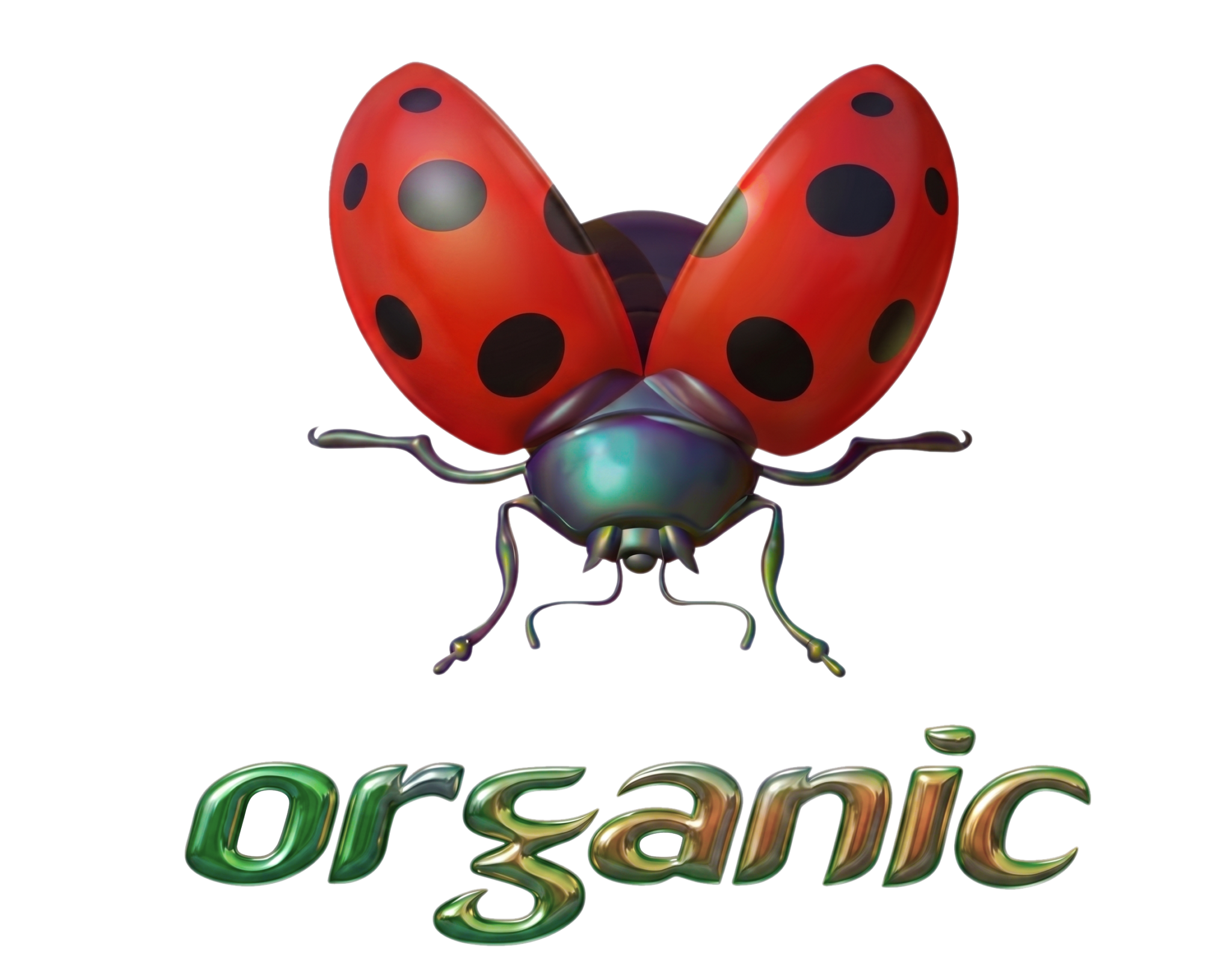 Organic Music Festival